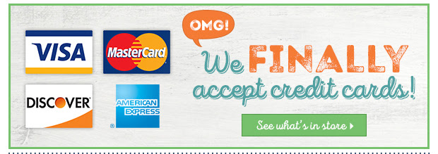 Aldi Now Accepts Credit Cards! - Deal Seeking Mom